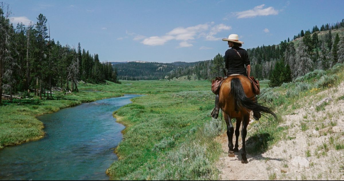 How To Get A Job on a Real Working Ranch: 3 Opportunities Not To Be ...
