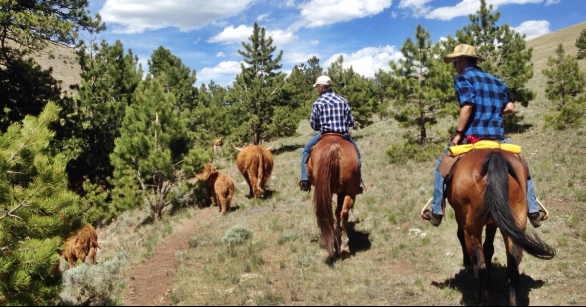 Find Your Dream Ranch Vacation Fast With Ranchweb's New Travel Planning ...
