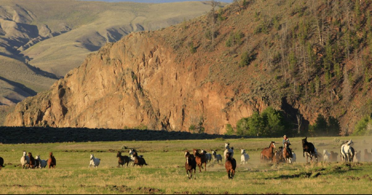 Bitterroot Ranch, Wyoming, USA - Guest Ranch vacation | Ranchweb.com
